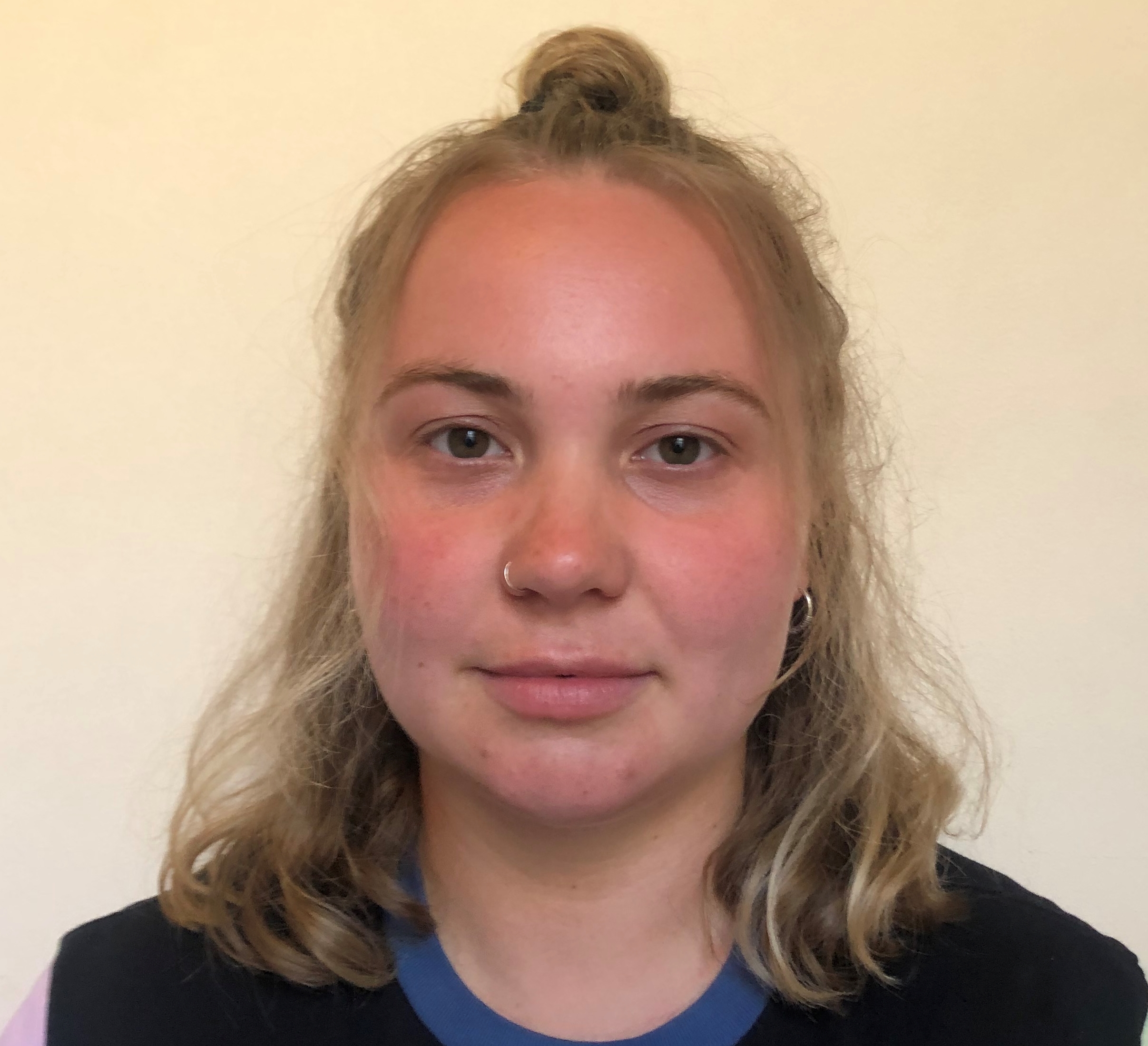 Teacher Profiles - Flying Cows