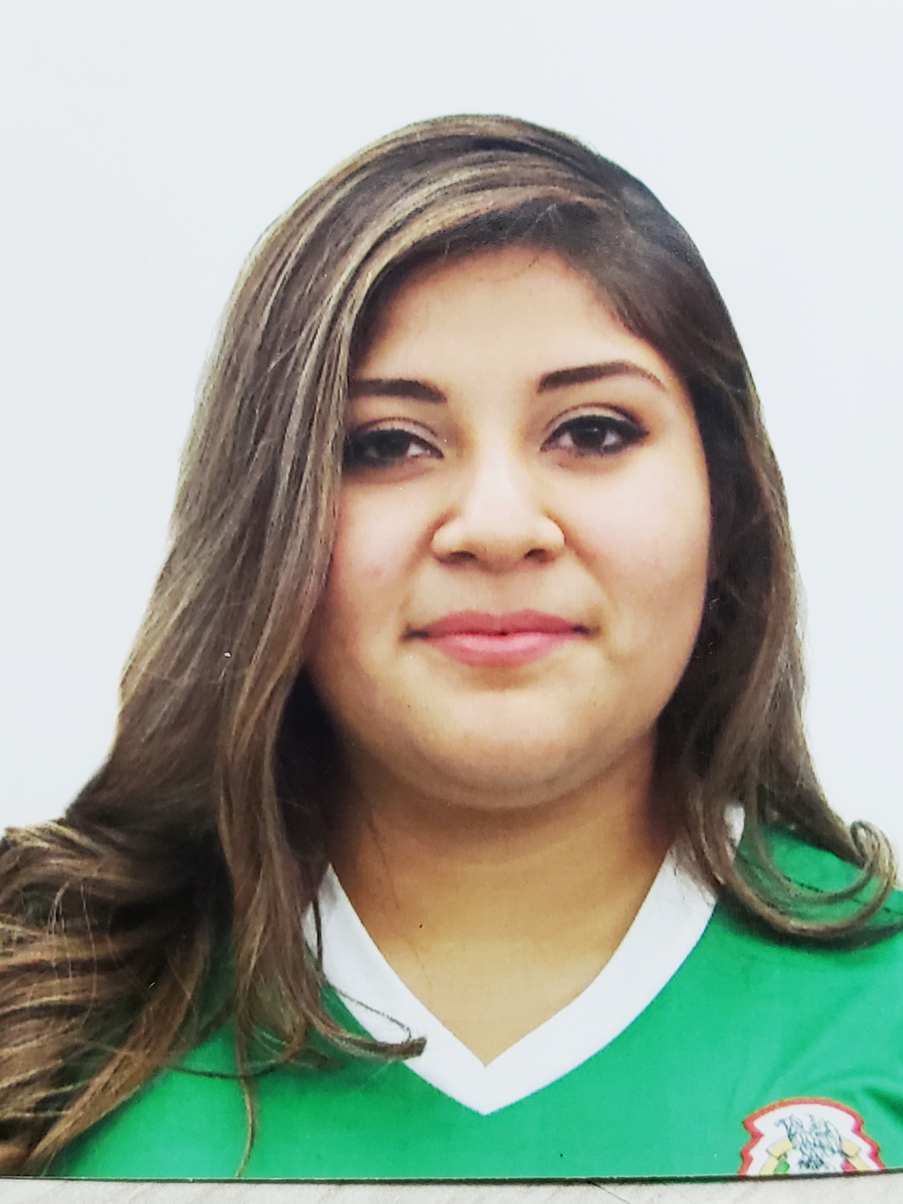 Teacher Profiles - Flying Cows