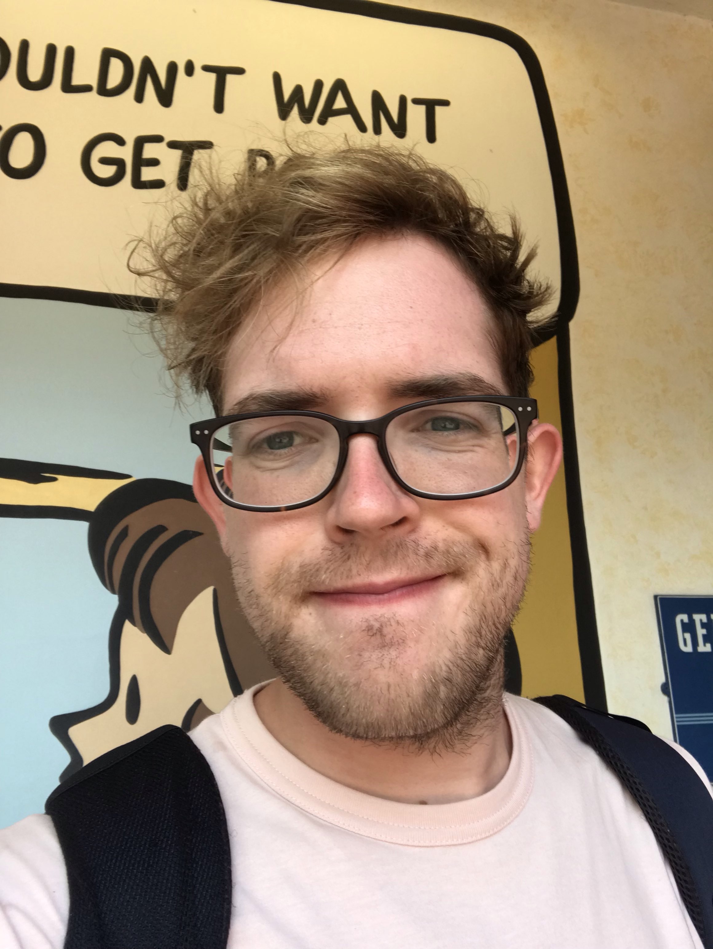 Teacher Profiles - Flying Cows